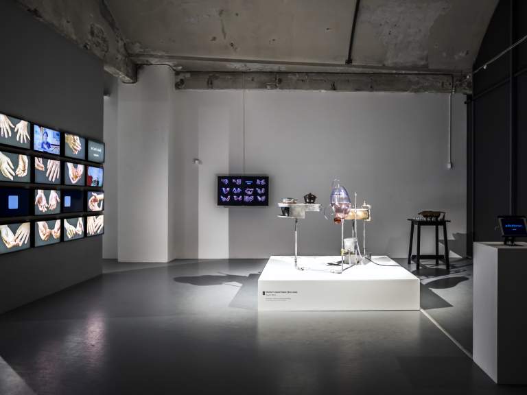 Jiwon Woo with Han Wösten - Bio Art & Design Award