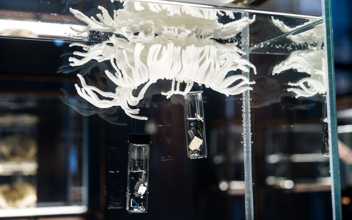 Ani Liu with Mario Maas, Matthias Cabri and Onno Baur - Bio Art ...